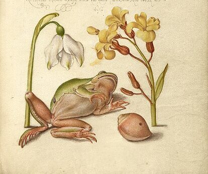 History and Use of Liber Σταυρος Βατραχου sub Figura LXX (The Cross of ...